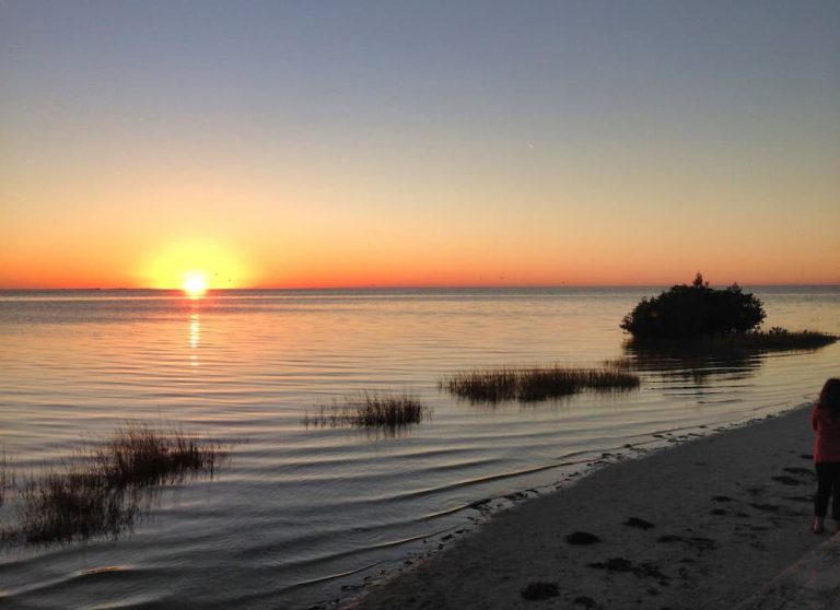 Apopka Windshield Replacement Services – Bond Auto Glass